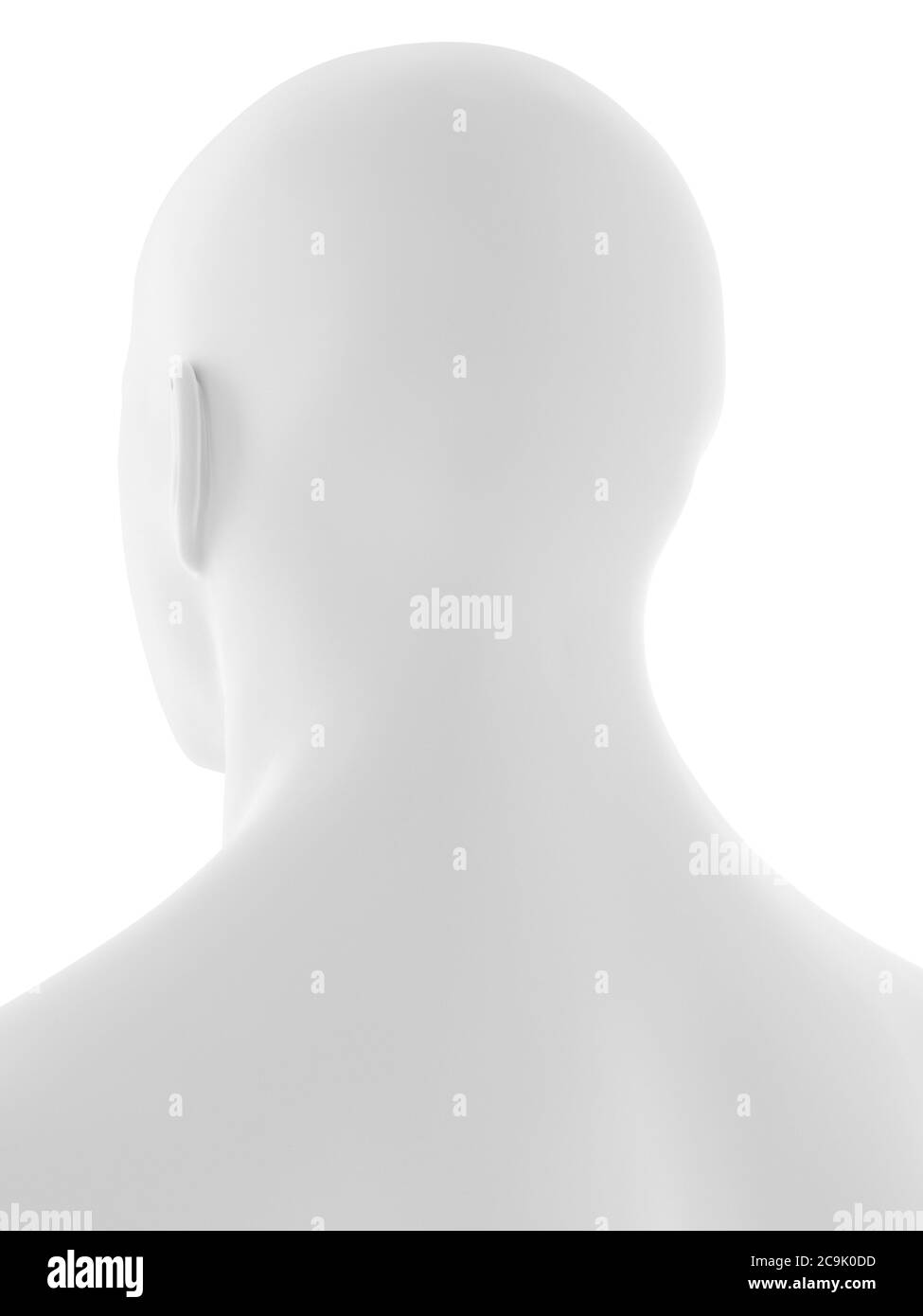 Human head, illustration Stock Photo - Alamy