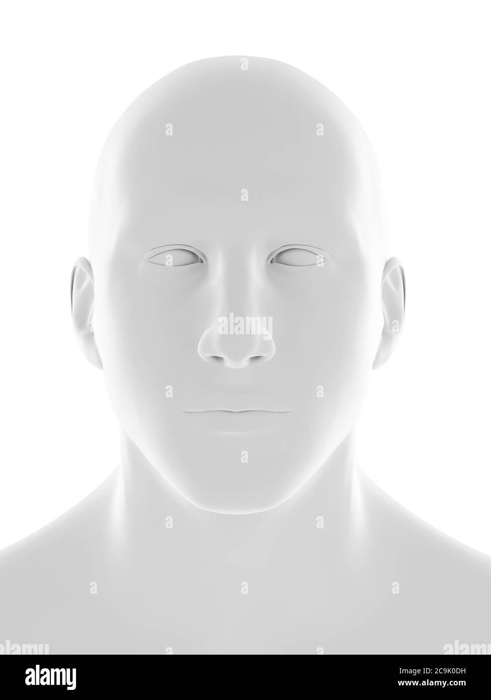 Human head, illustration Stock Photo - Alamy