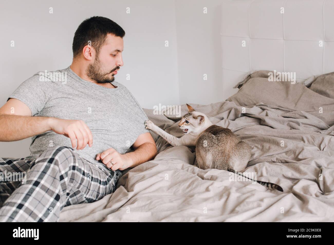 Caucasian man playing with cat. Angry furious cat attacking scratching ...