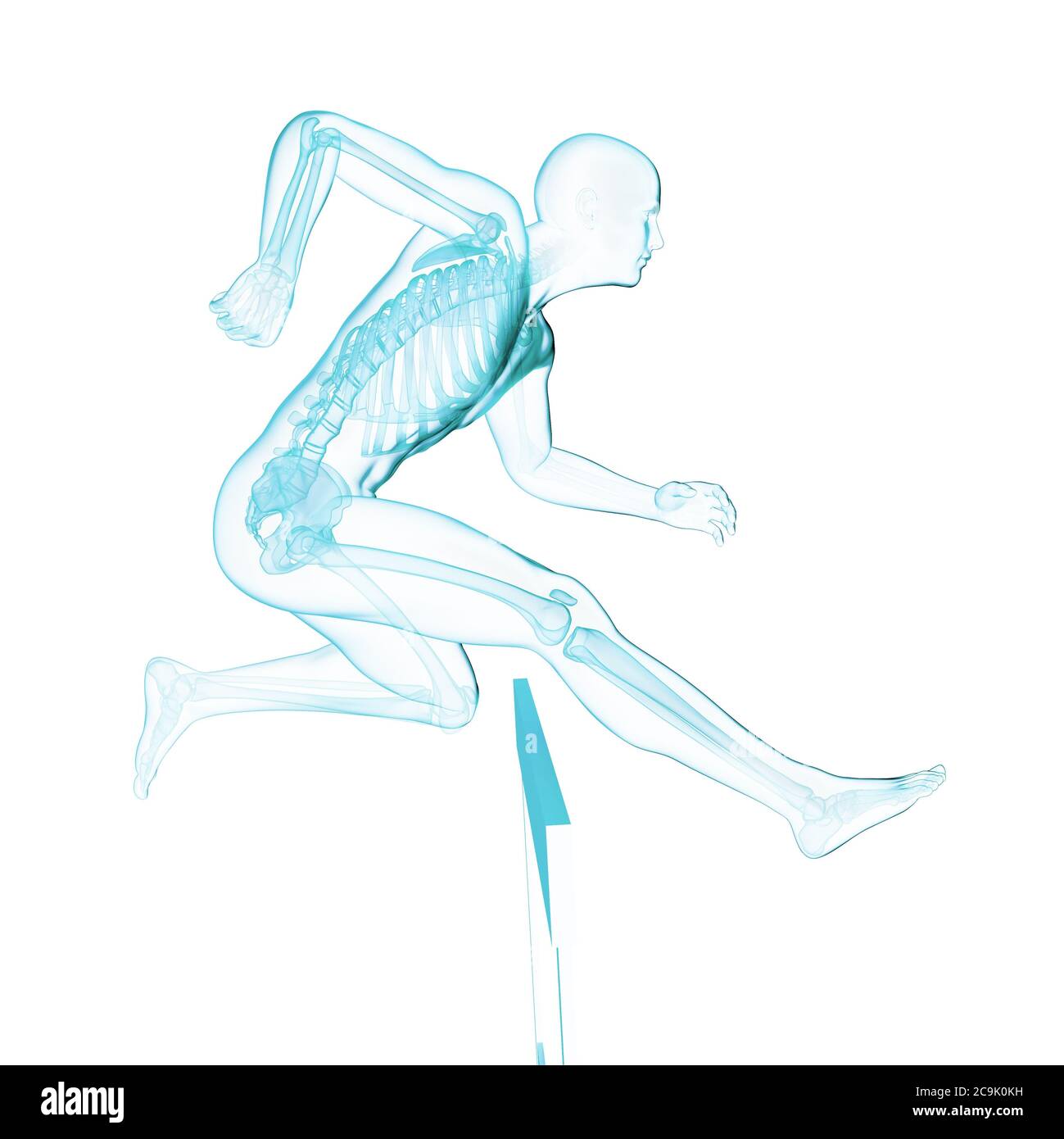 Human body skeleton jumping hi-res stock photography and images - Alamy
