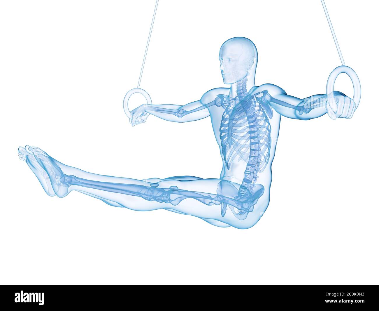 Workout athlete Cut Out Stock Images & Pictures - Alamy