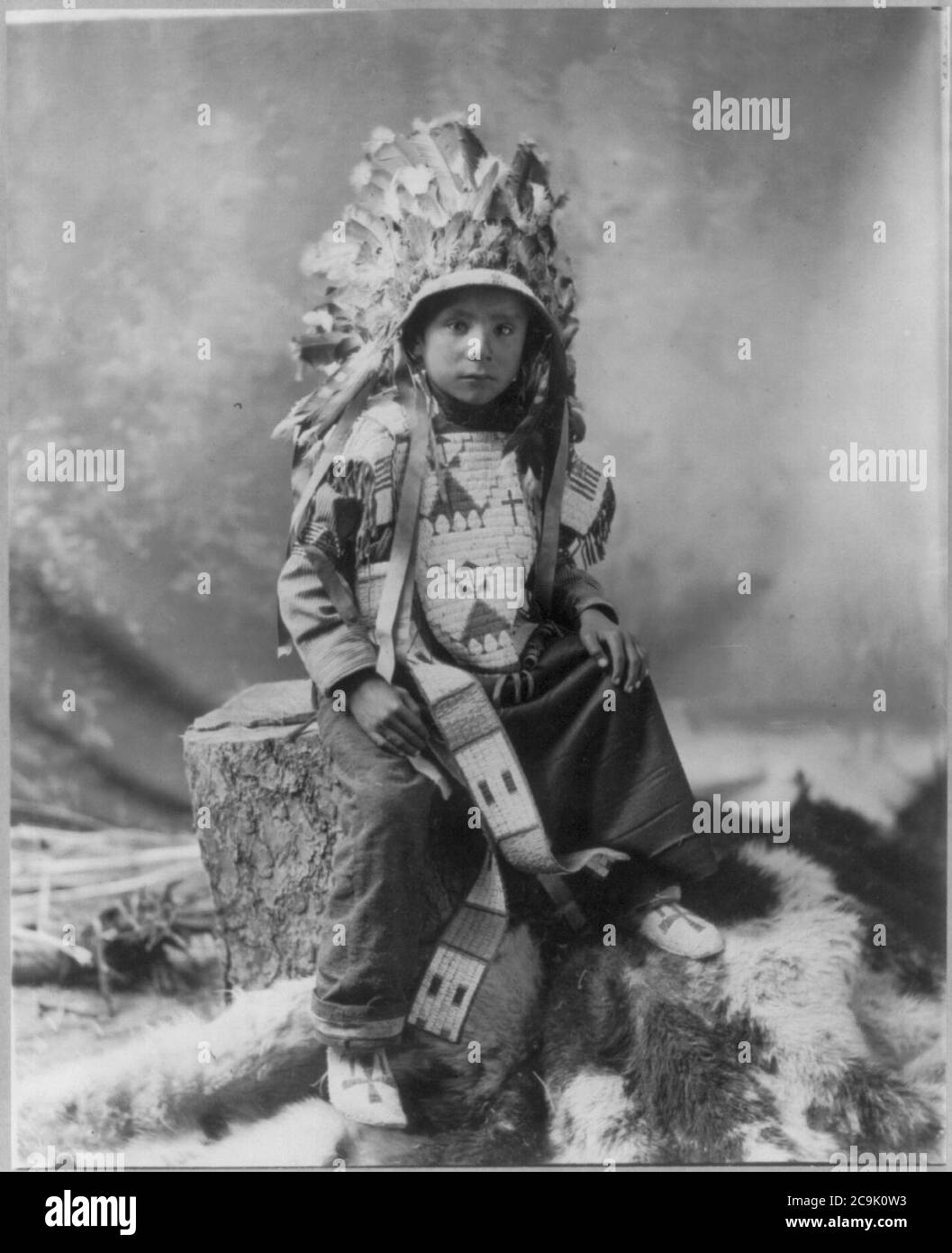 Spotted elk hi-res stock photography and images - Alamy