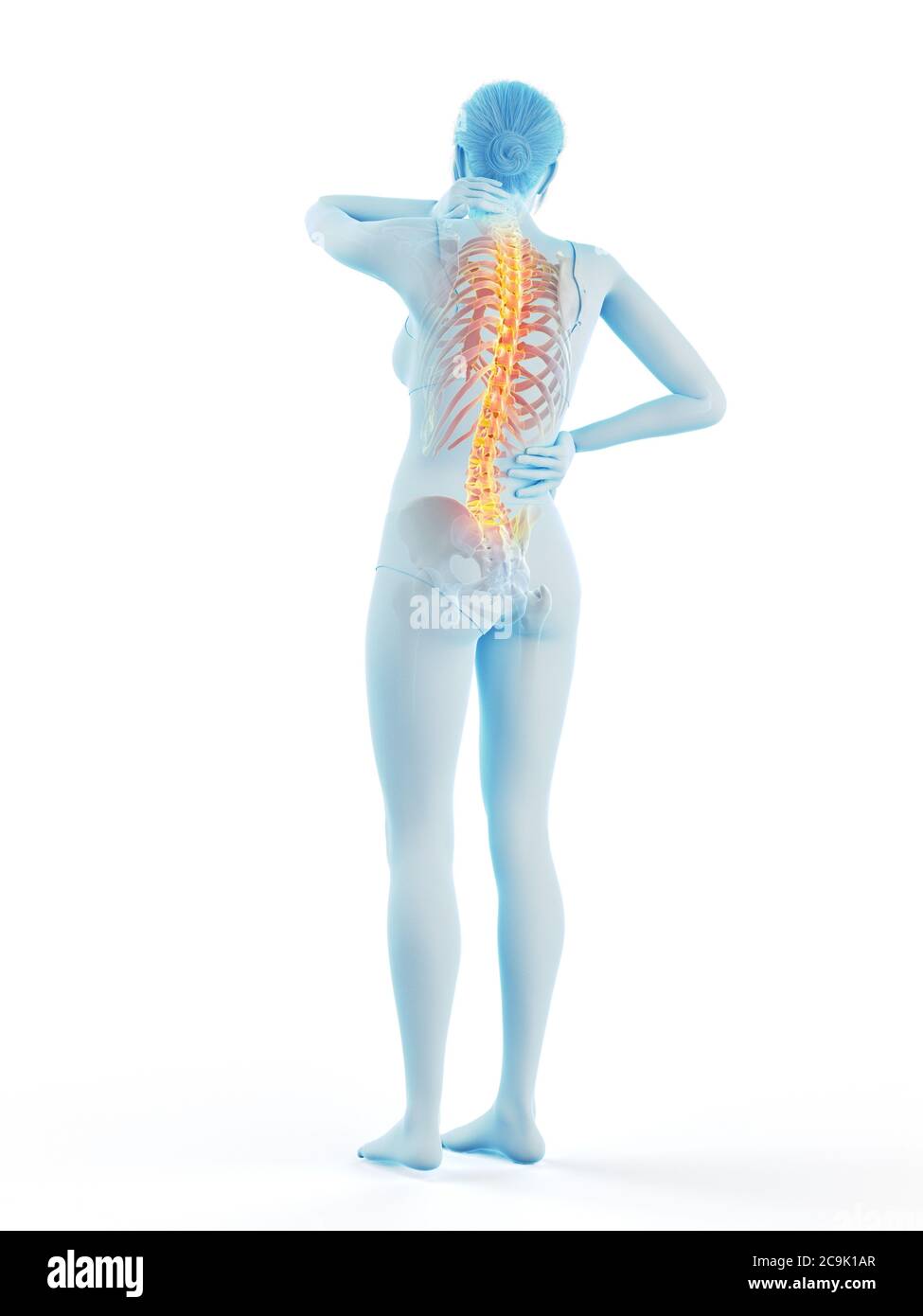 Backache woman highlighted hi-res stock photography and images - Alamy