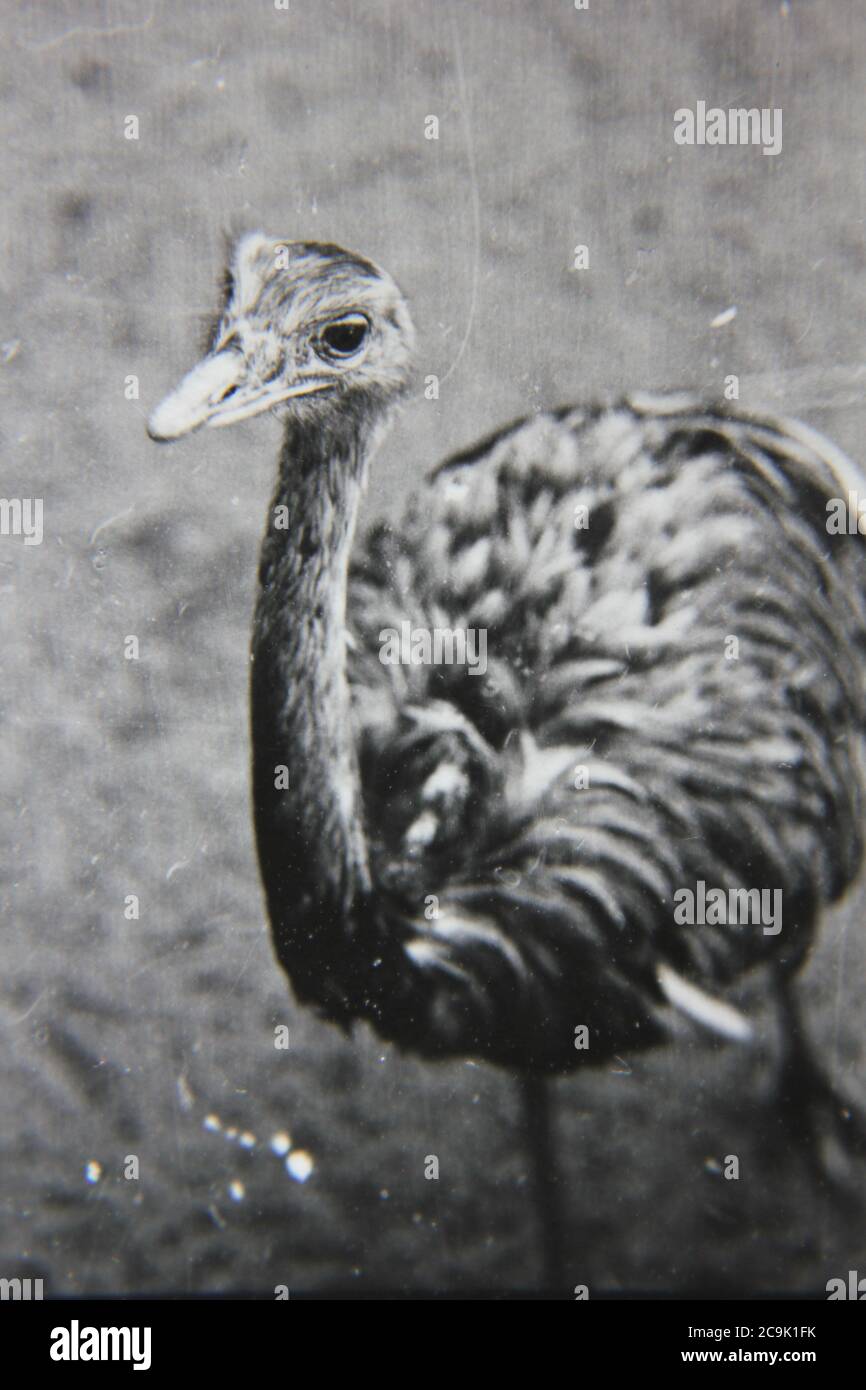 Little sanctuary street hi-res stock photography and images - Alamy