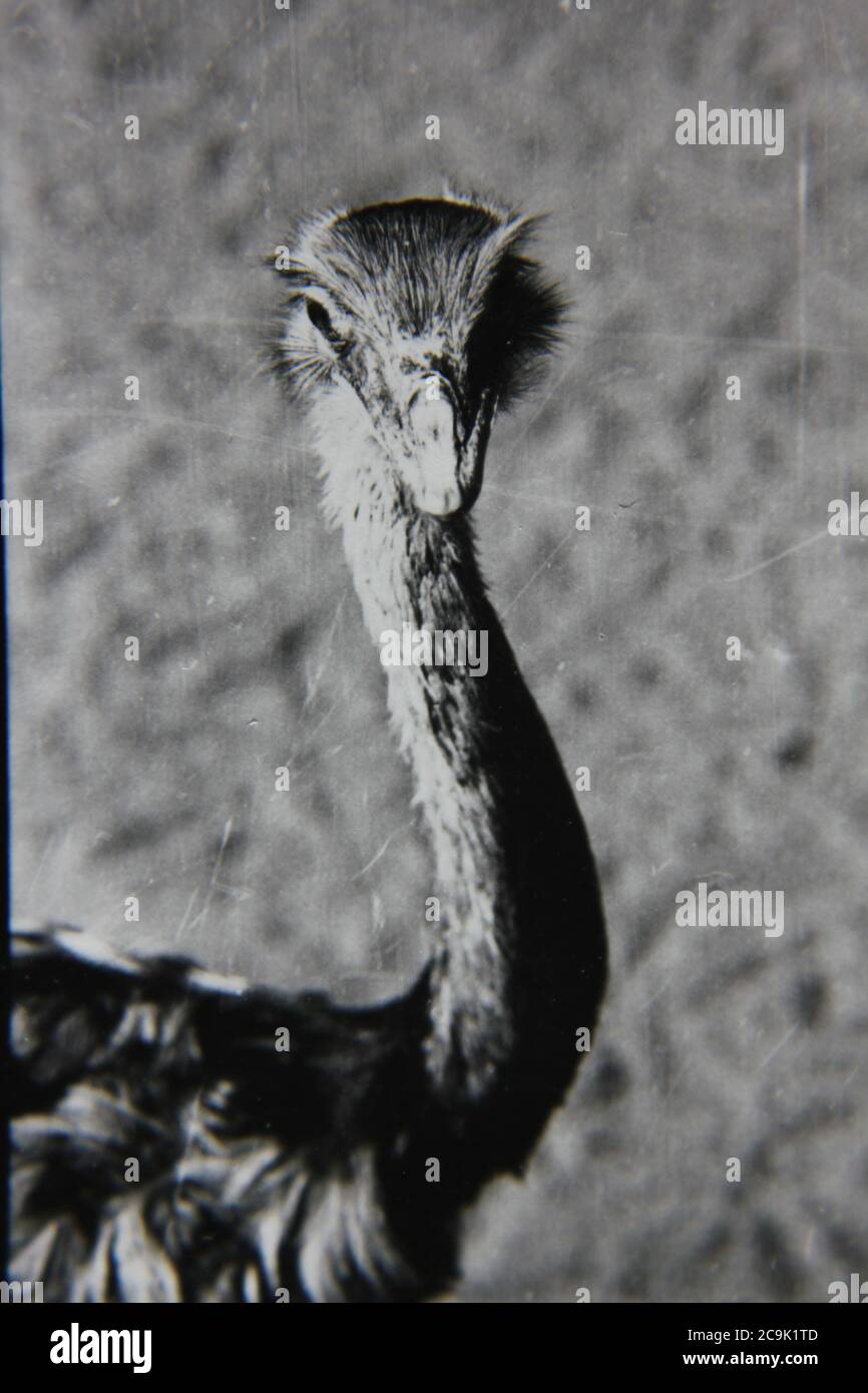 Little sanctuary street hi-res stock photography and images - Alamy