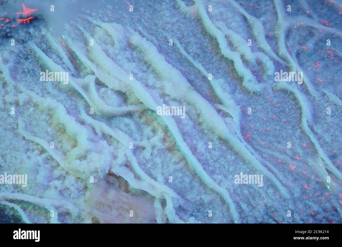 Spoiled food hi-res stock photography and images - Alamy