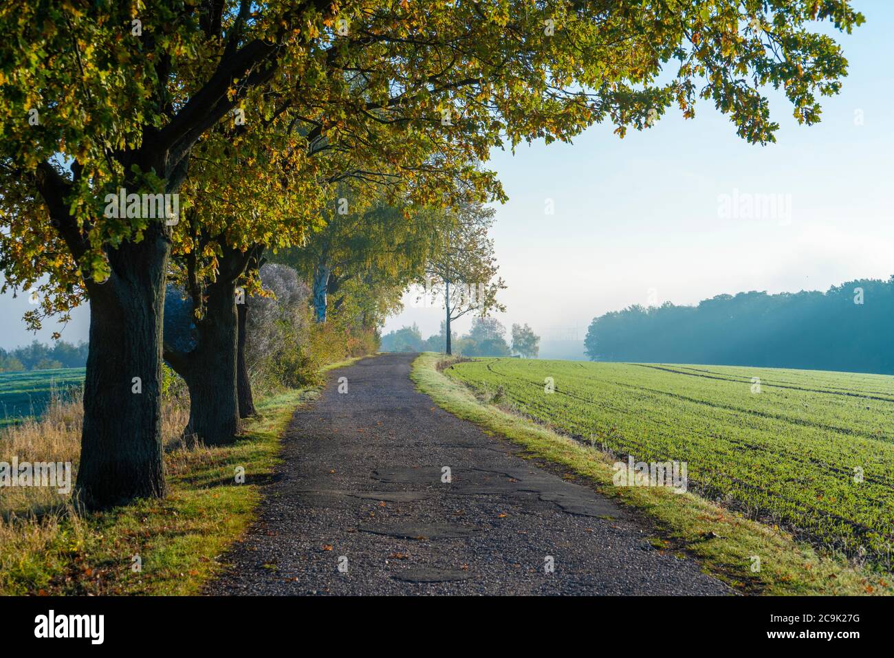 Morning lane hi-res stock photography and images - Alamy