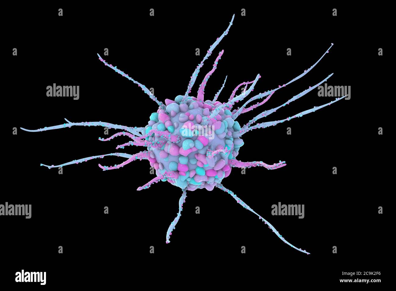 Dendritic cell, computer illustration. A dendritic cell is a type of ...