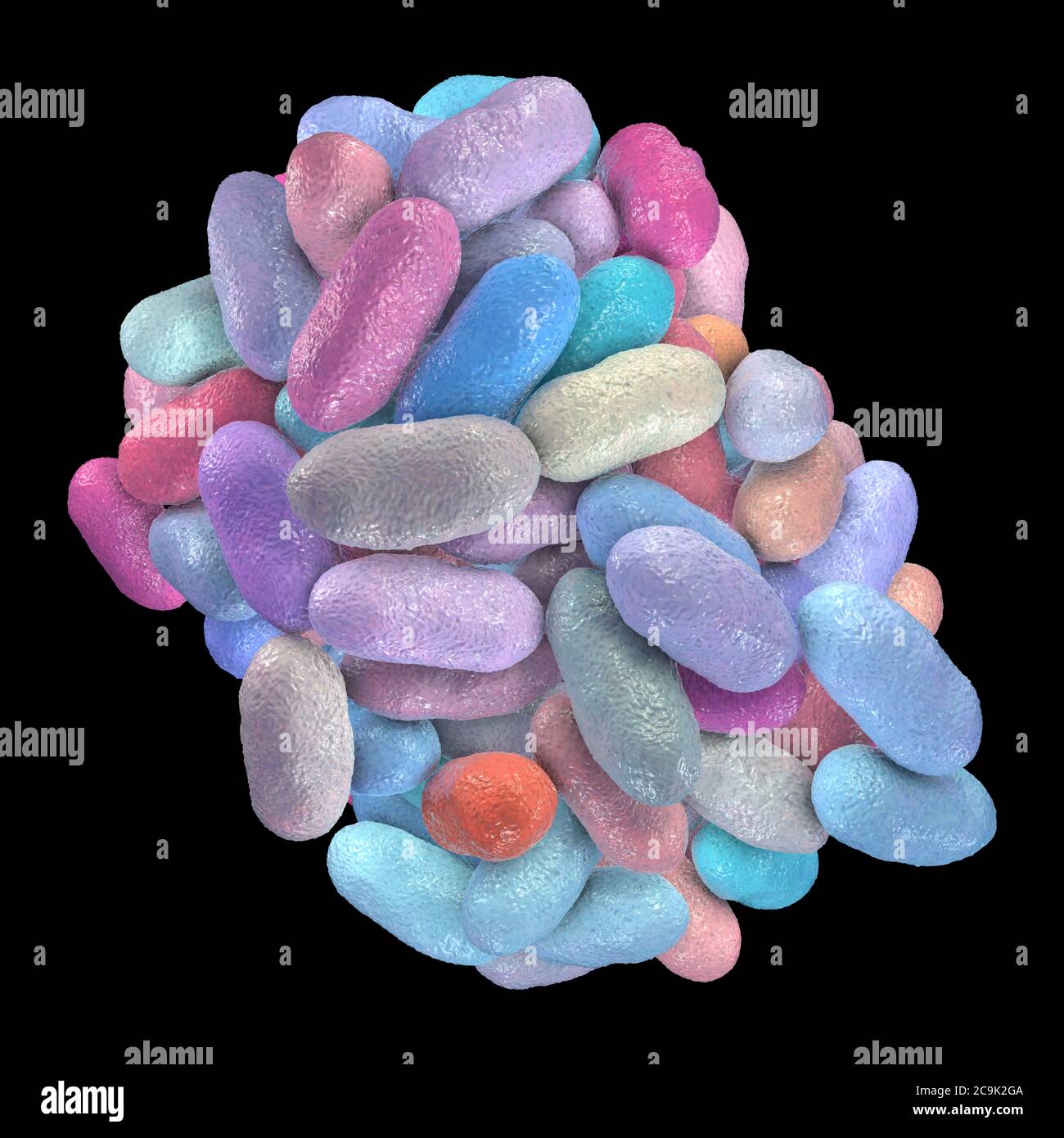 Porphyromonas gingivalis oral bacterium, computer illustration. P ...