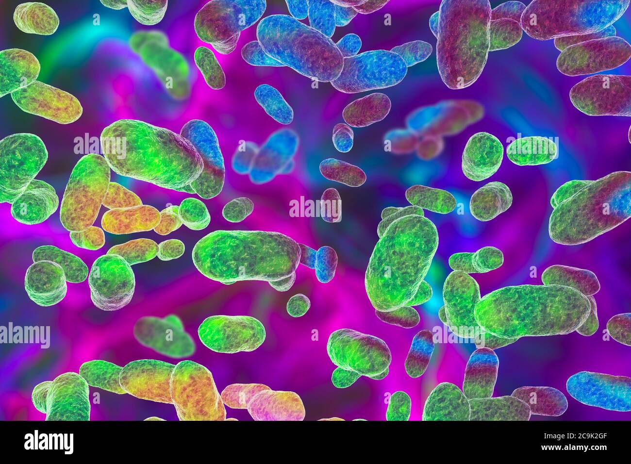 Porphyromonas gingivalis oral bacterium, computer illustration. P ...