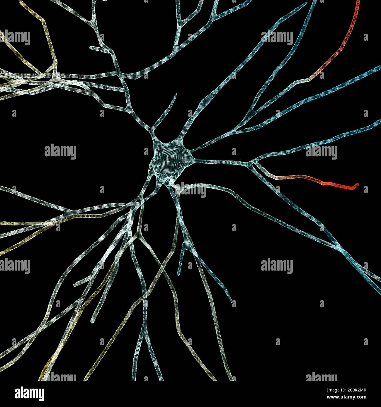 Human brain nerve cell, computer illustration Stock Photo - Alamy
