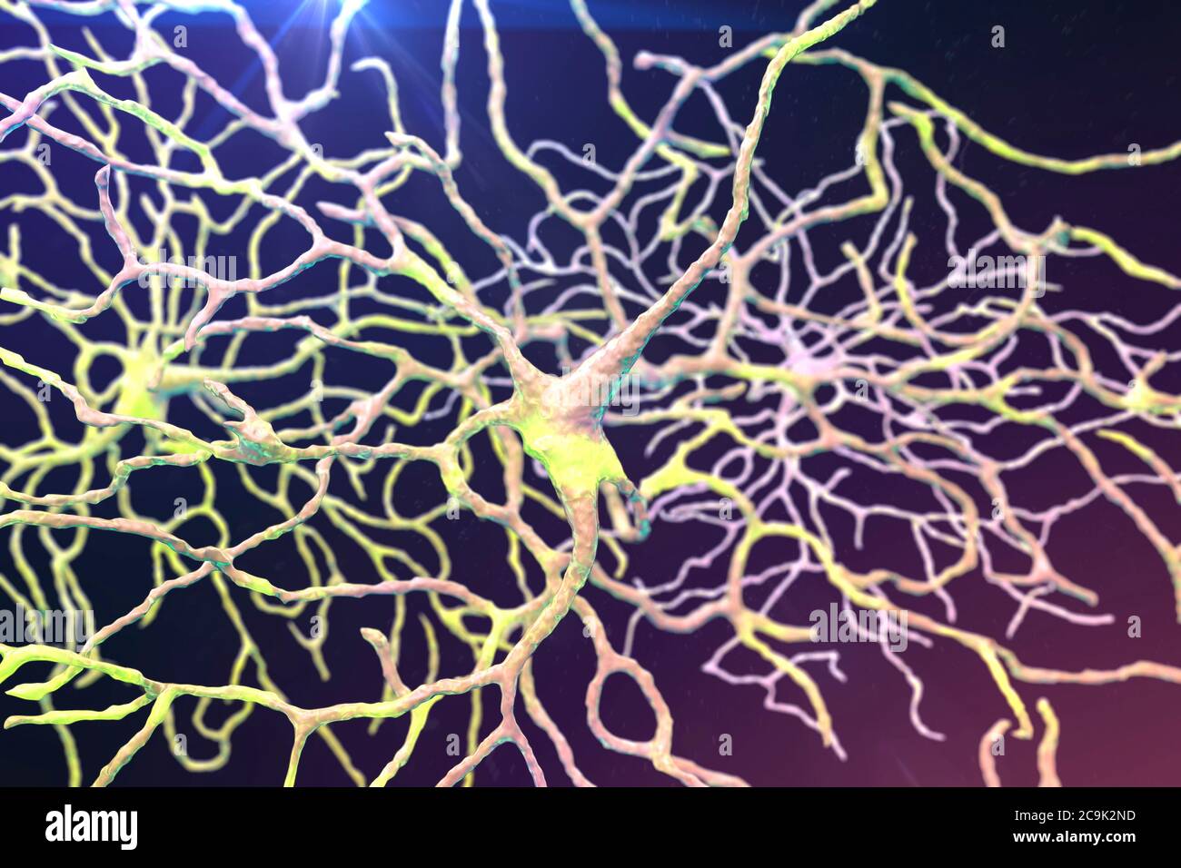Retinal neuron, computer illustration. This neuron plays a crucial role ...