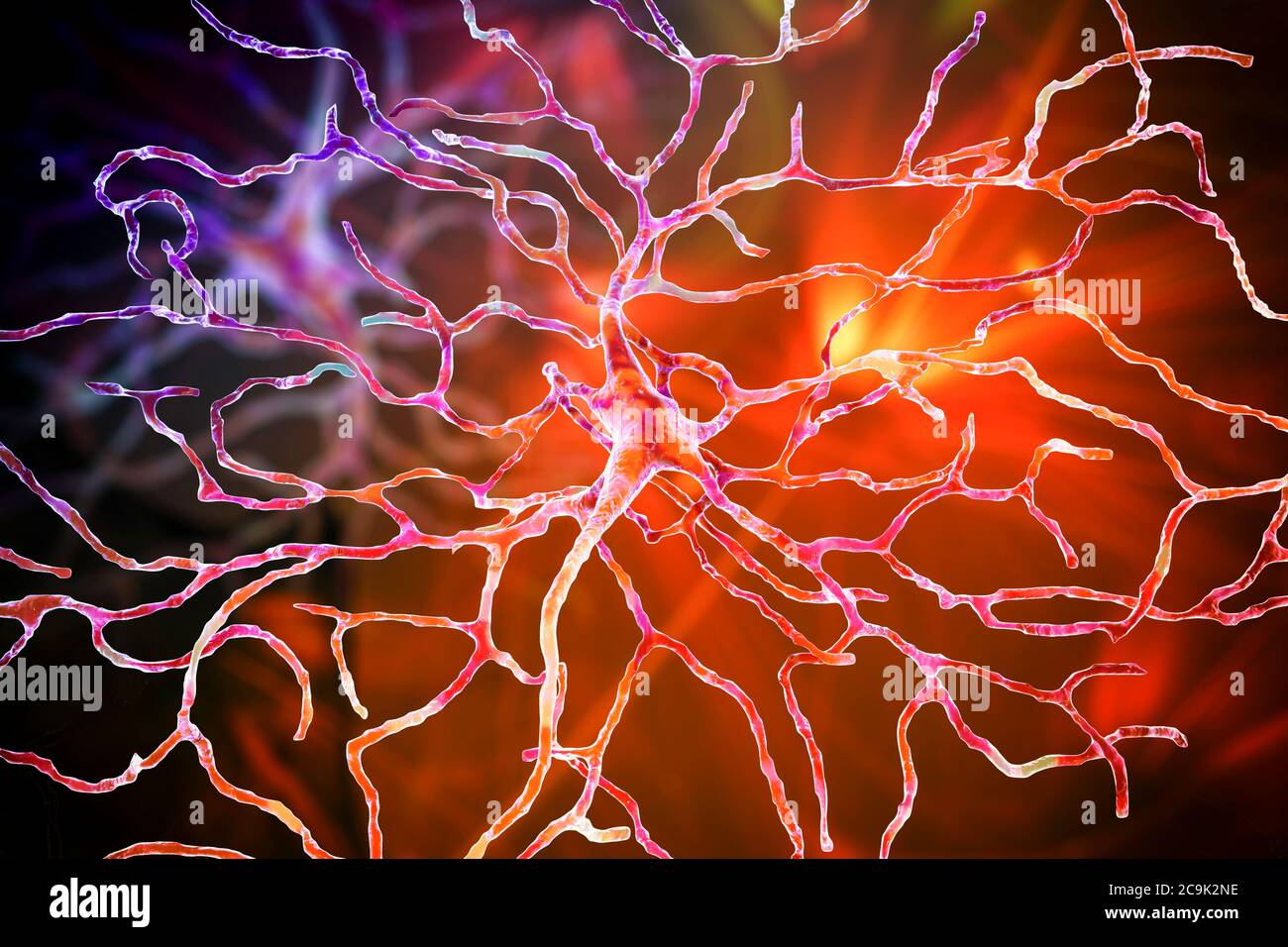 Retinal neuron, computer illustration. This neuron plays a crucial role ...
