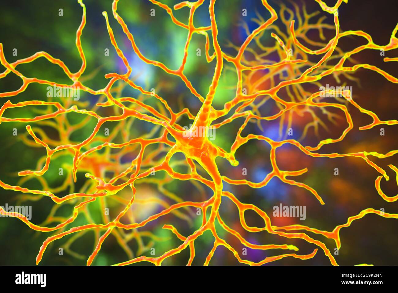 Retinal neuron, computer illustration. This neuron plays a crucial role ...
