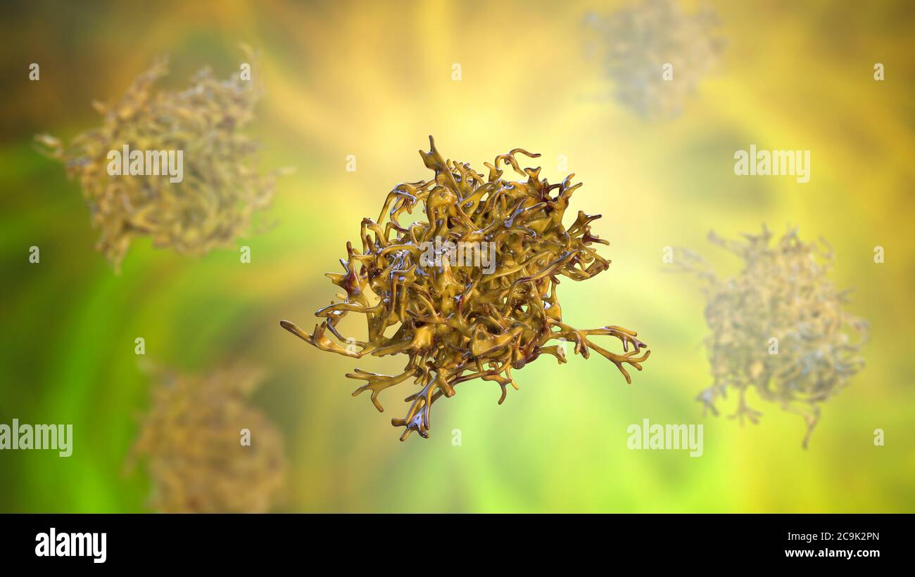 Amoeba, computer illustration Stock Photo - Alamy