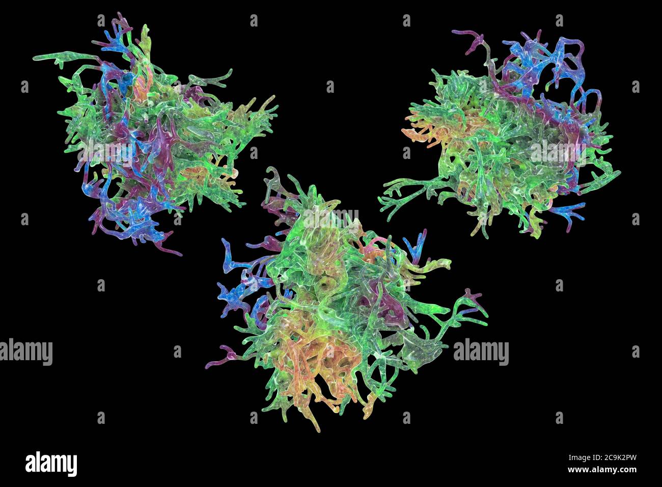 Amoeba, computer illustration Stock Photo - Alamy