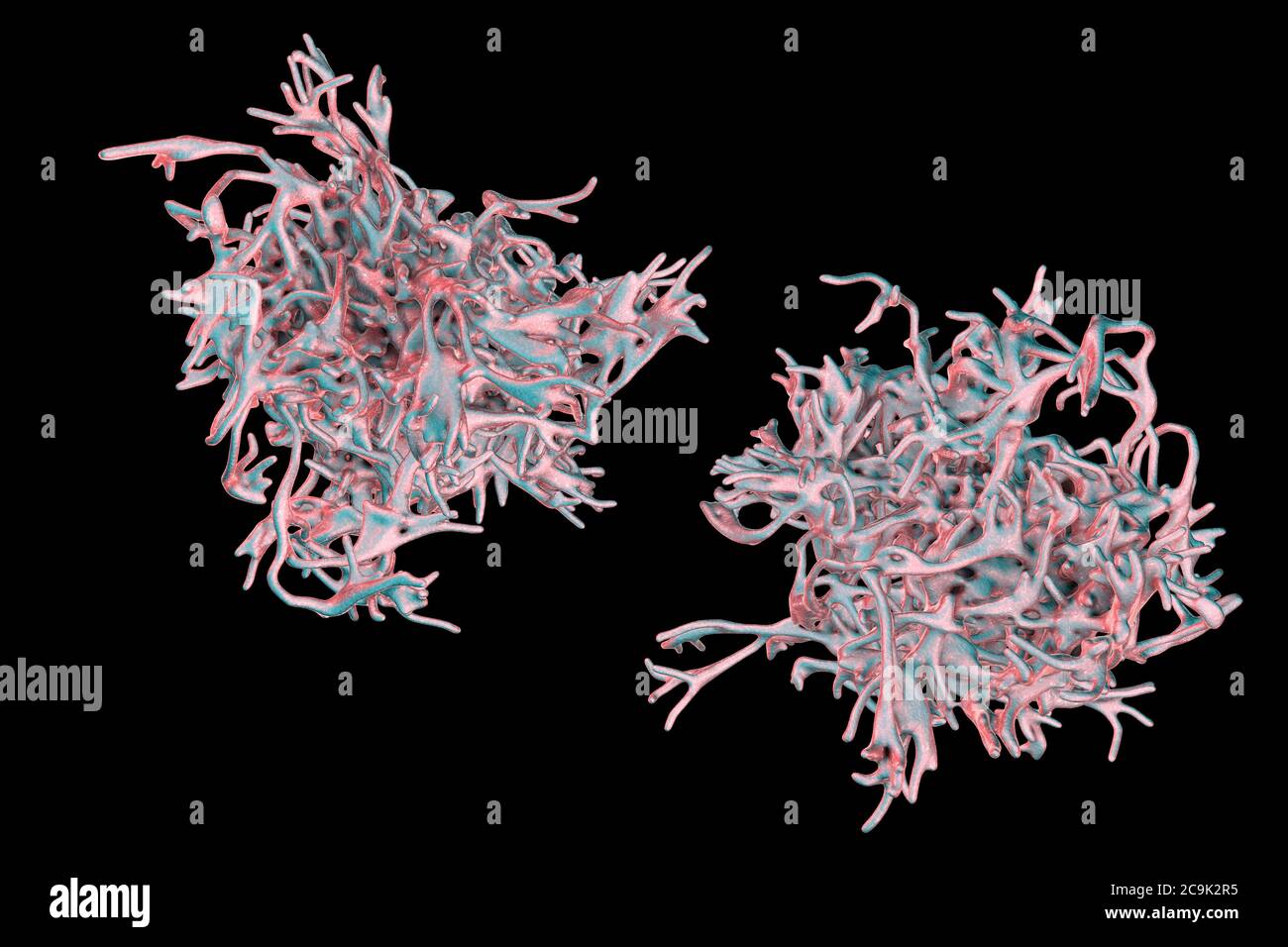 Amoeba, computer illustration Stock Photo - Alamy