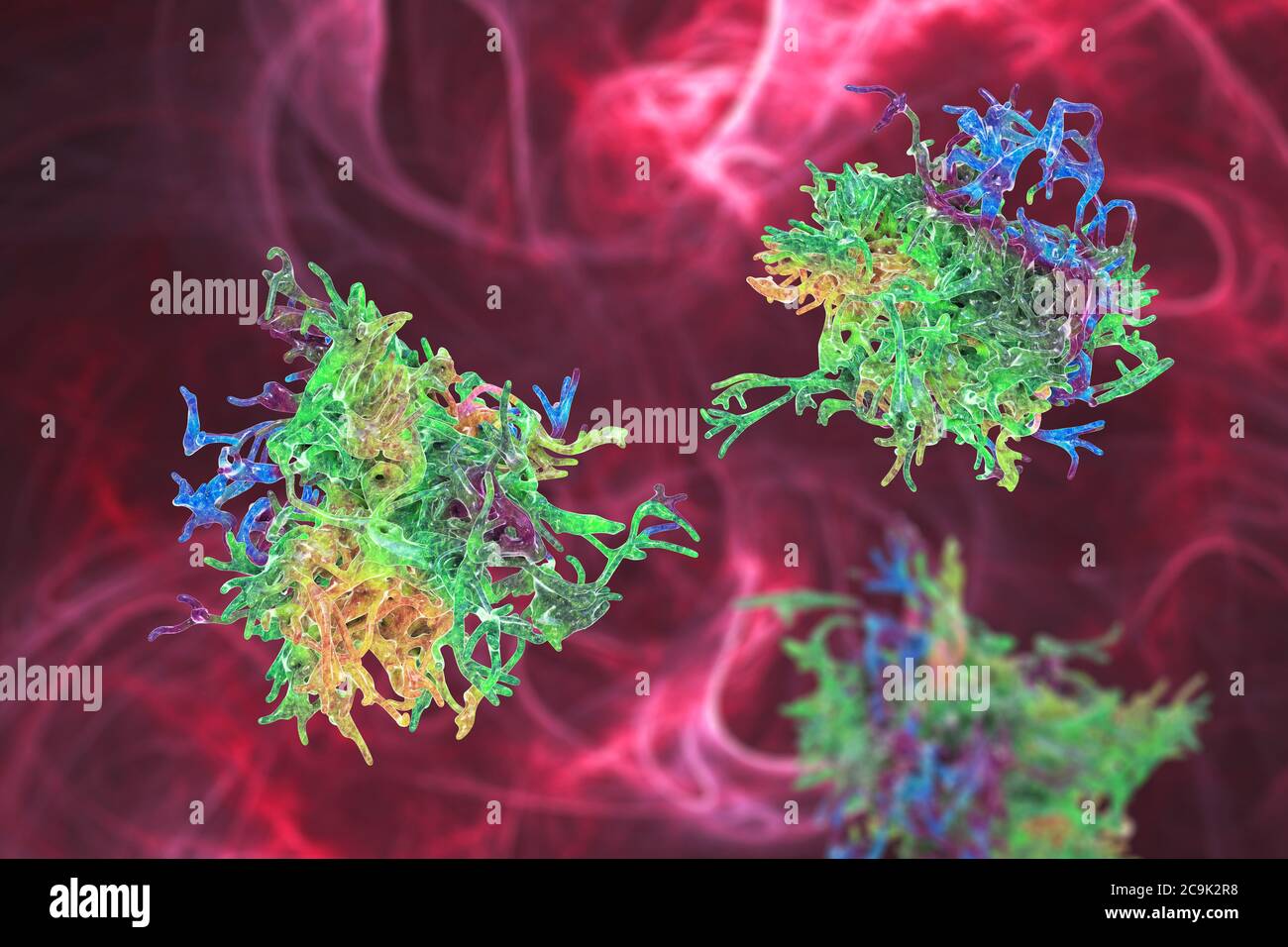 Amoeba, computer illustration Stock Photo - Alamy