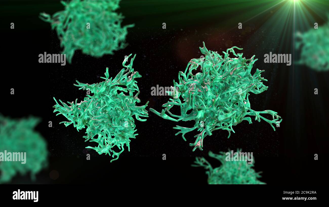 Amoeba, computer illustration Stock Photo - Alamy