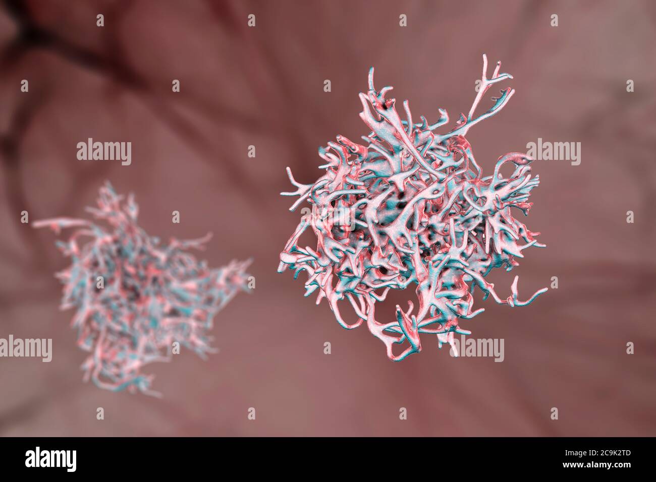 Amoeba, computer illustration Stock Photo - Alamy