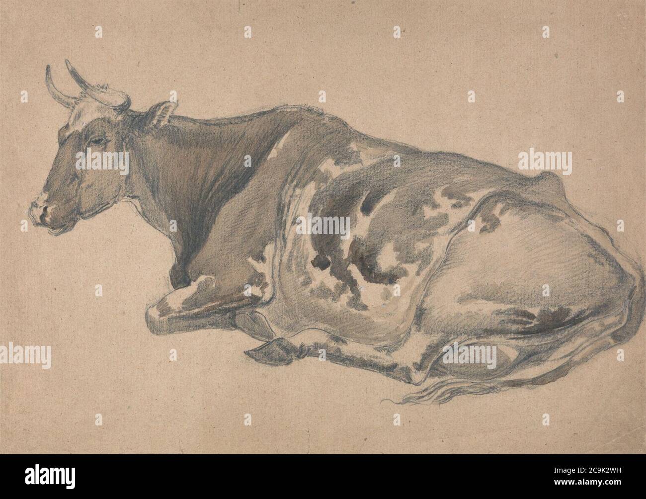 James Ward - Study of a Cow Stock Photo - Alamy