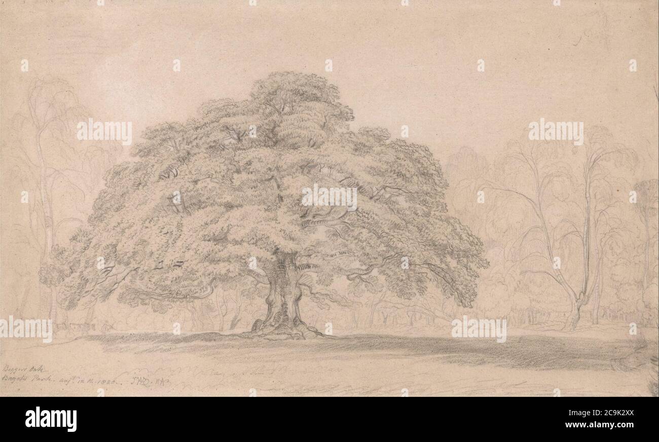 James Ward - The Beggar's Oak, Bagot's Park, Aug. 12th, 1820 (A ...