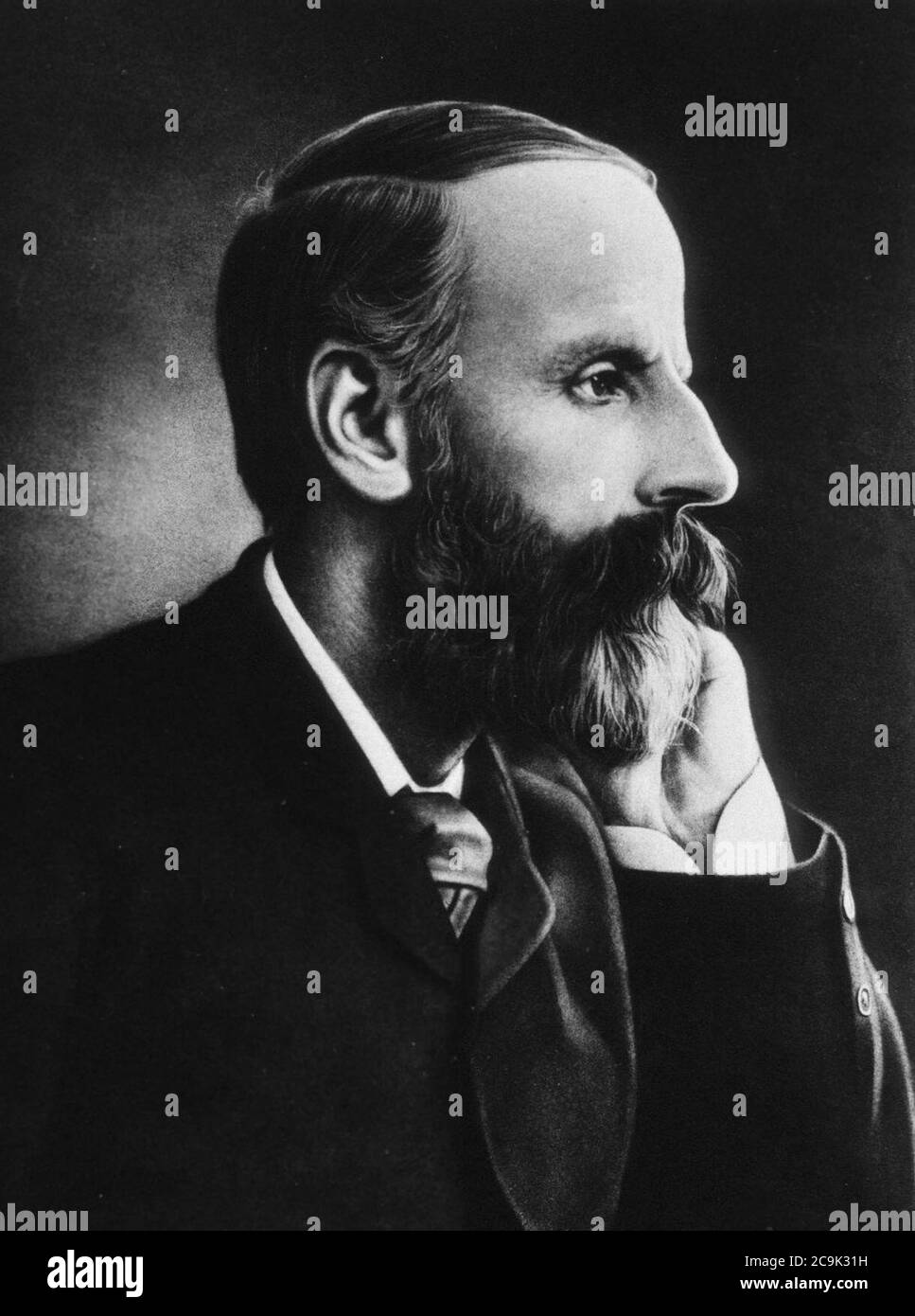 James Ward 1843-1925 Stock Photo - Alamy