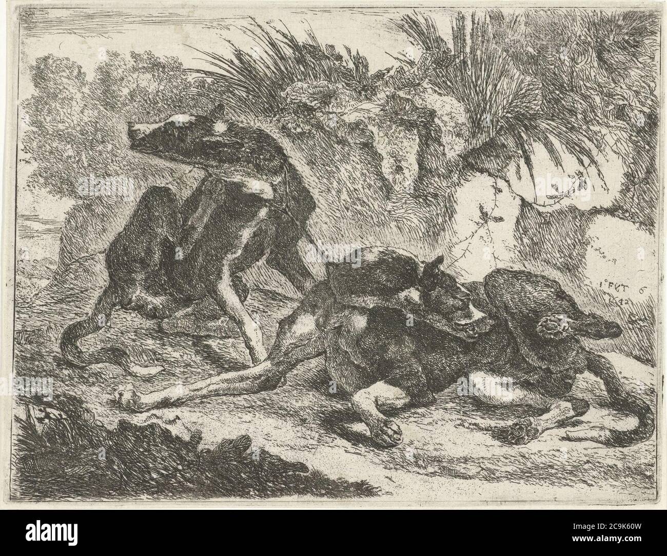 Jan Fijt High Resolution Stock Photography and Images - Alamy