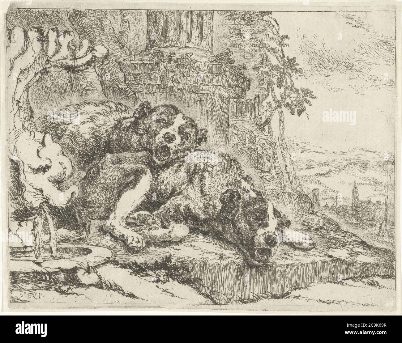 Two lying dogs hi-res stock photography and images - Alamy