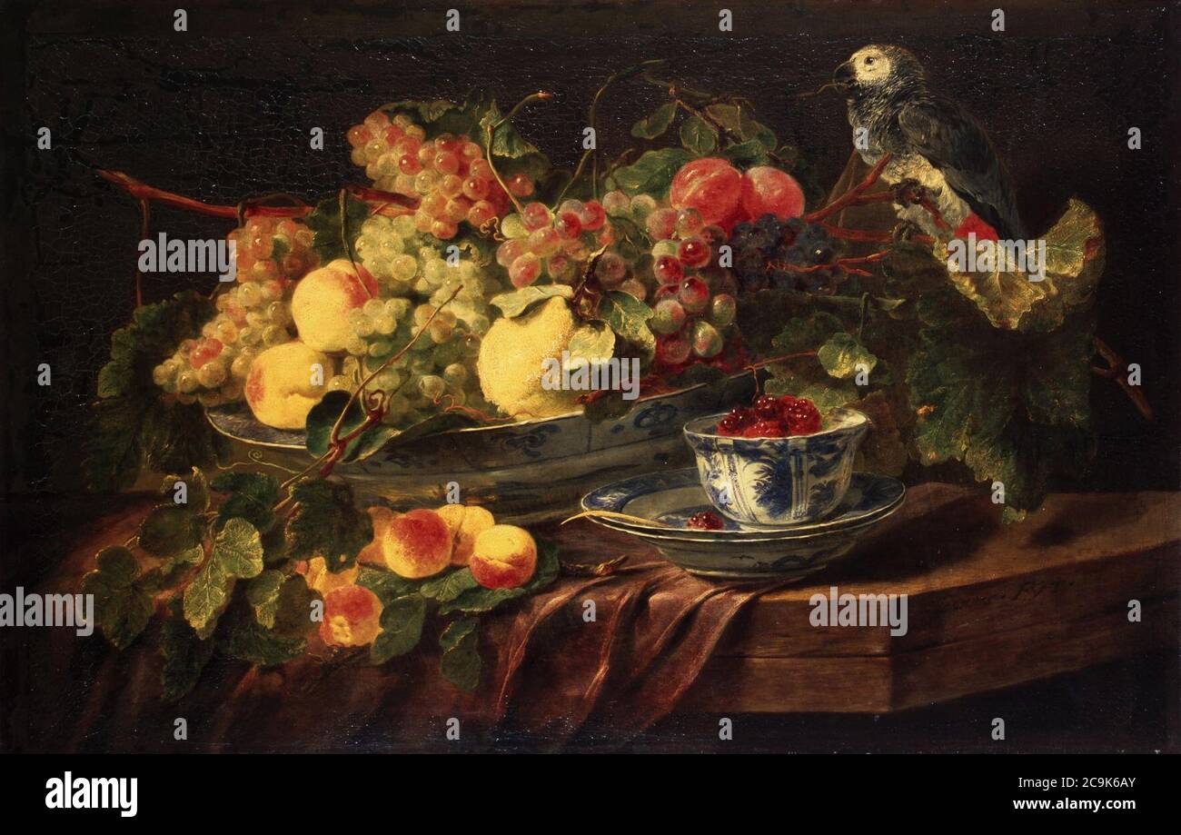 Jan Fyt - Still Life with Fruit and Parrot Stock Photo - Alamy