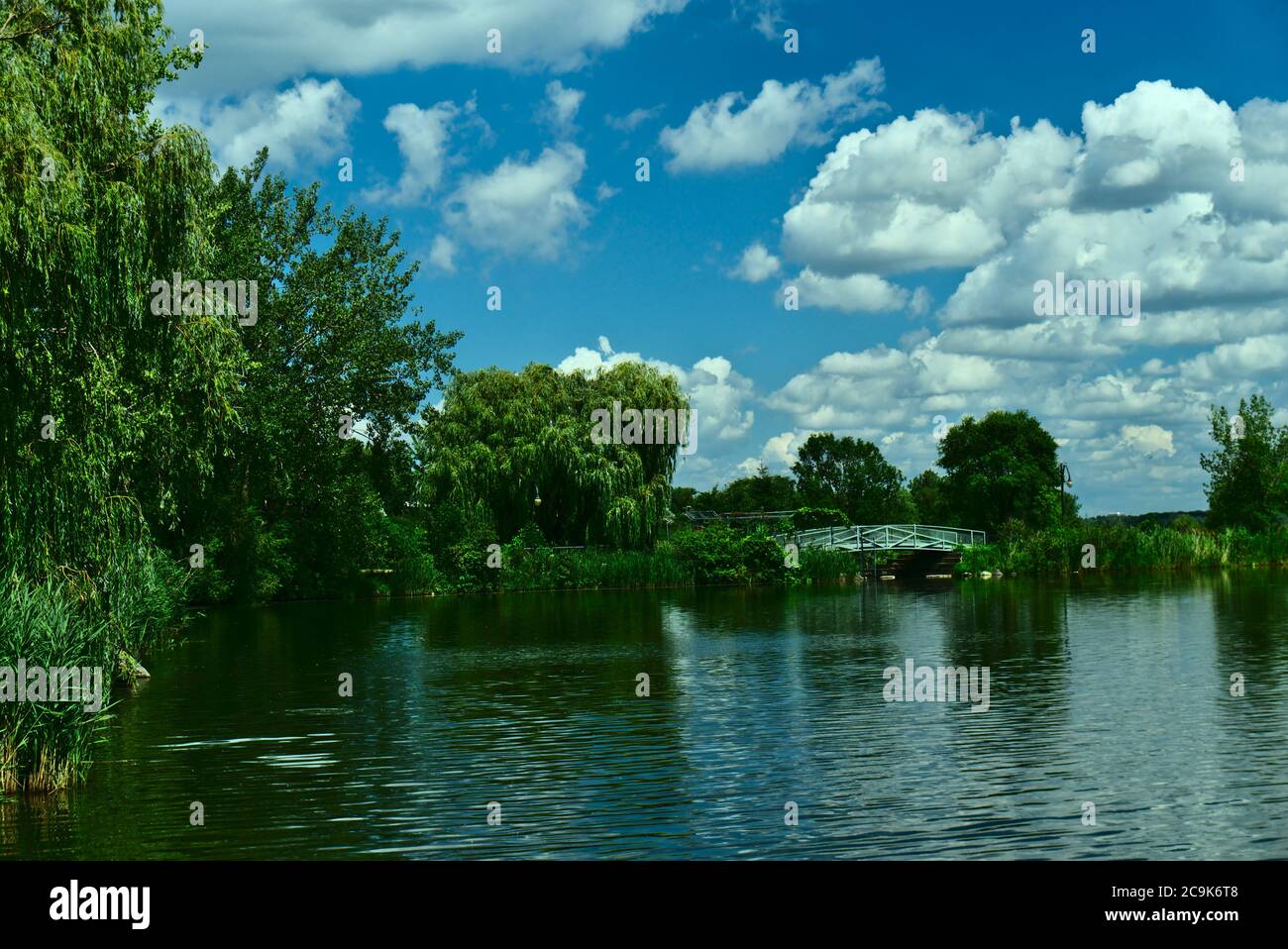 A bridge connecting between two islands in a river with many trees on ...