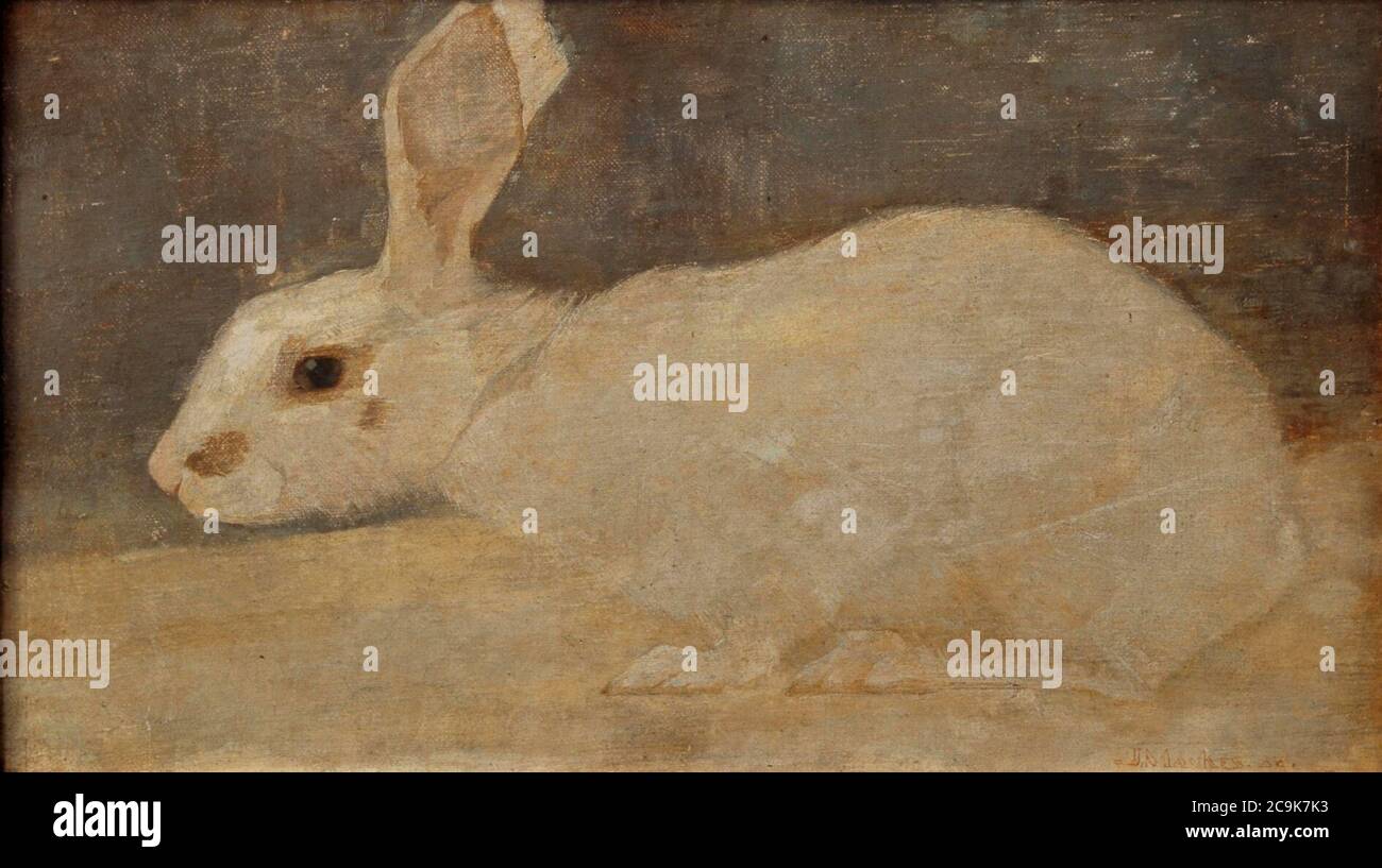 Jan Mankes, Witte konijn Stock Photo - Alamy
