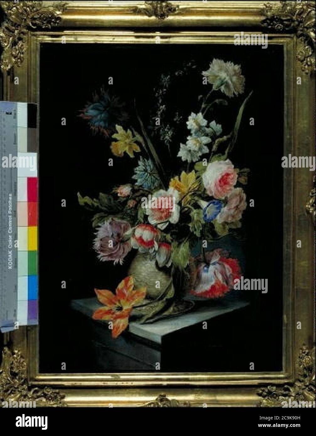 Jan Rudolf Bys 1662-1738 - Kytice ve vaze se supinovym dekorem II Stock ...