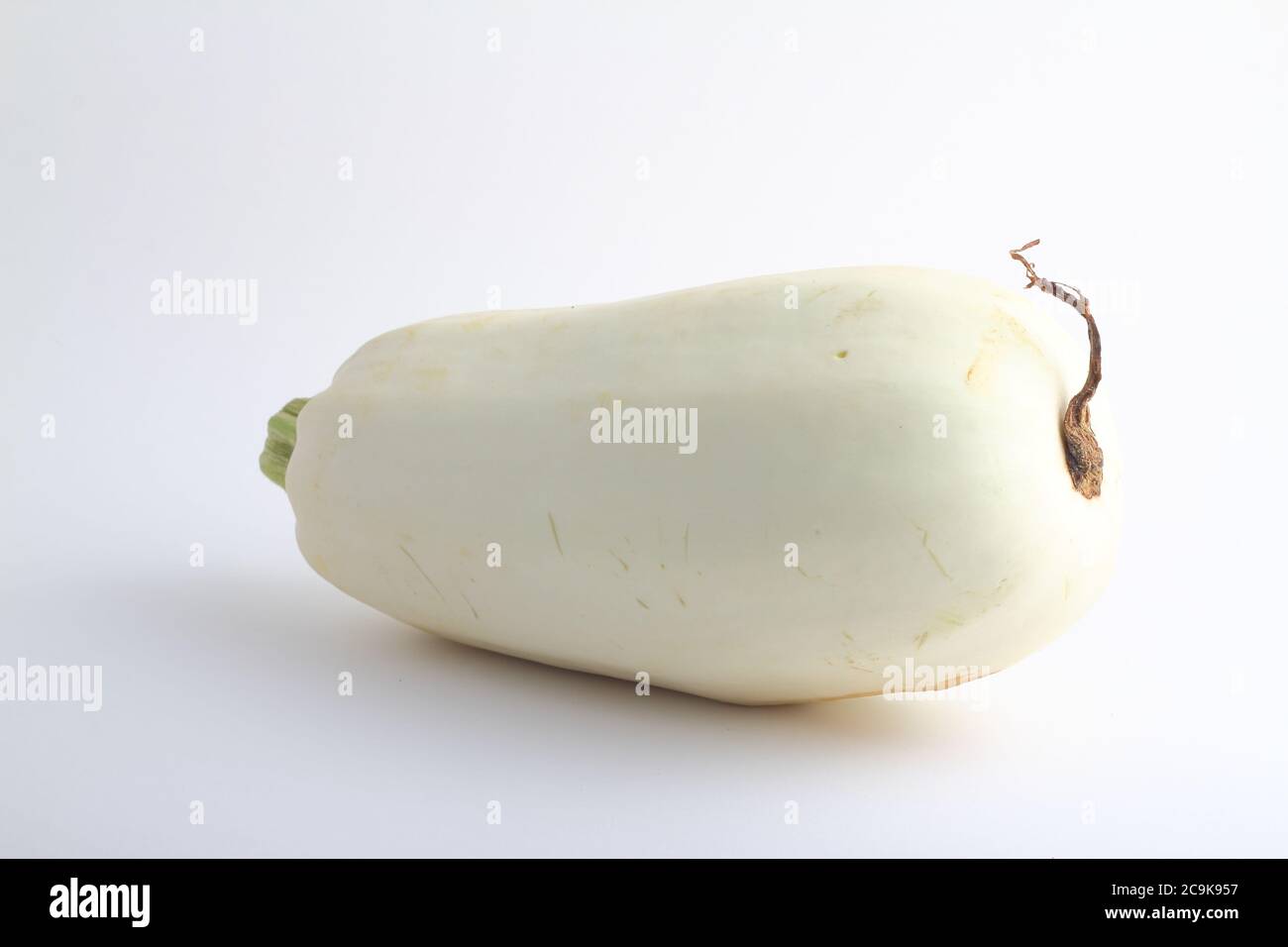 Butternut squash isolated on white background. One whole sweet pumpkin ...
