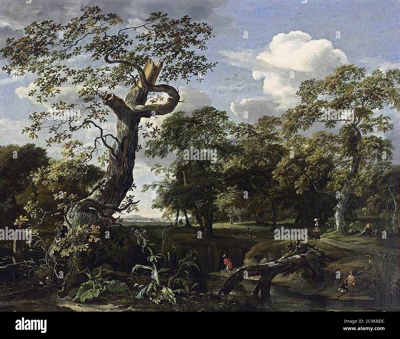 Jan van kessel 1641 1680 hi-res stock photography and images - Alamy