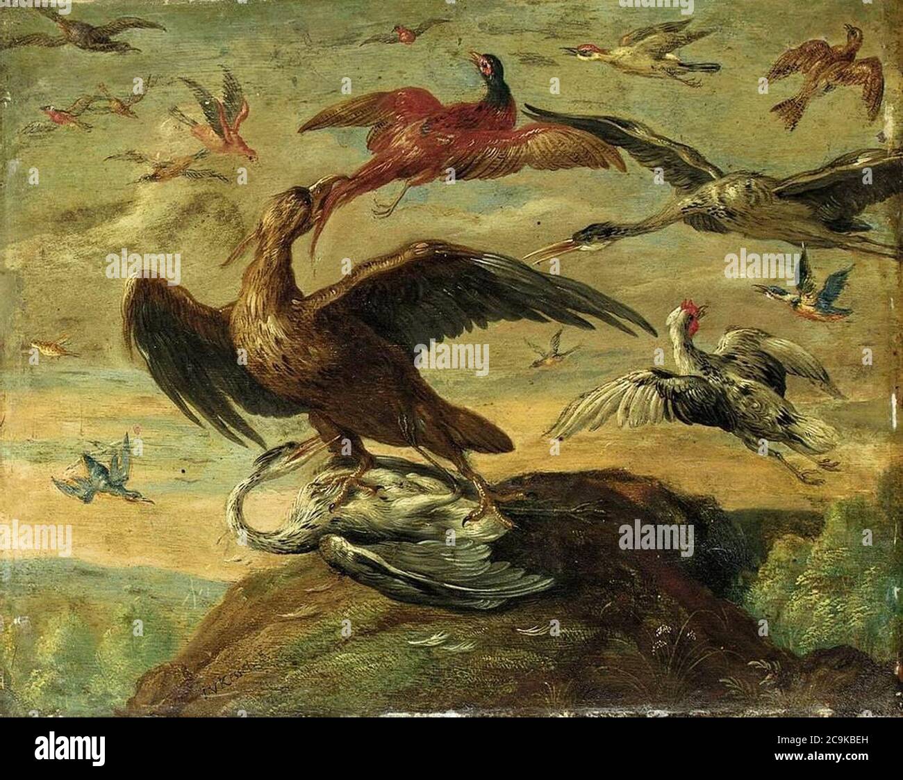 Jan van kessel birds hi-res stock photography and images - Alamy