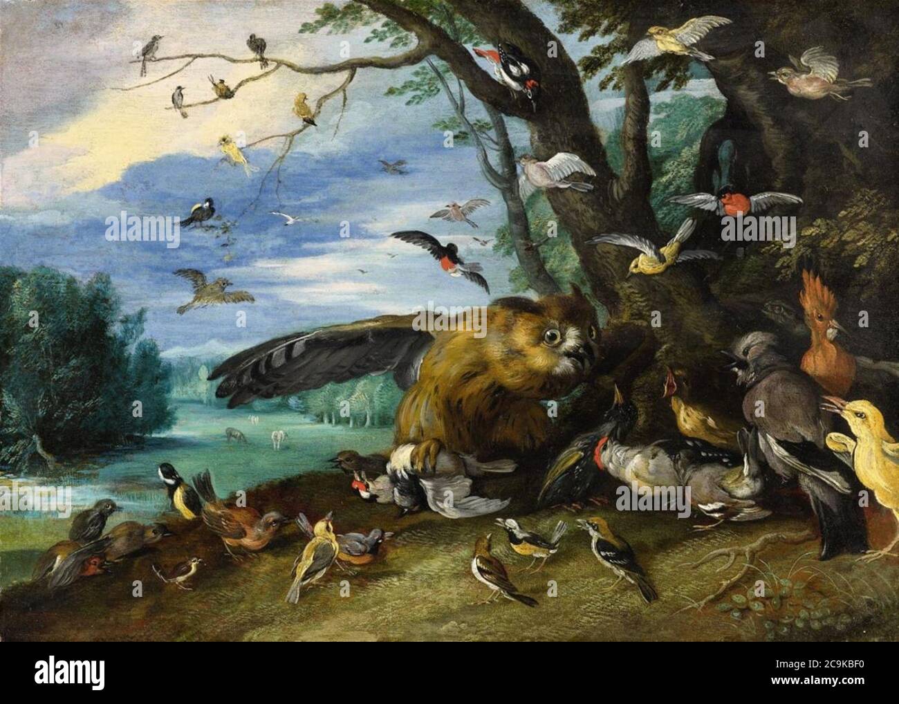 Jan van Kessel (I) - Birds fighting Stock Photo - Alamy