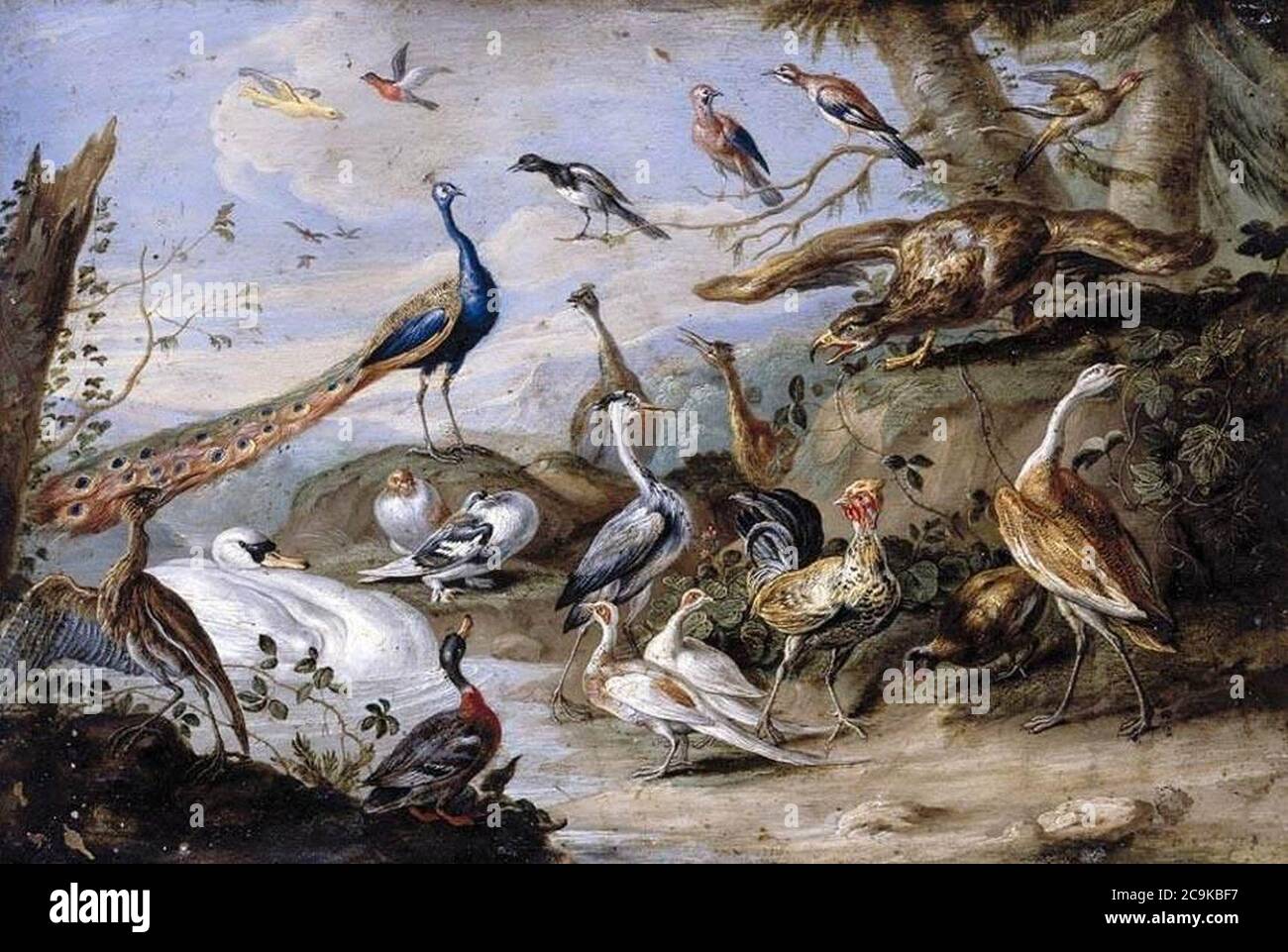 Jan van kessel birds hi-res stock photography and images - Alamy