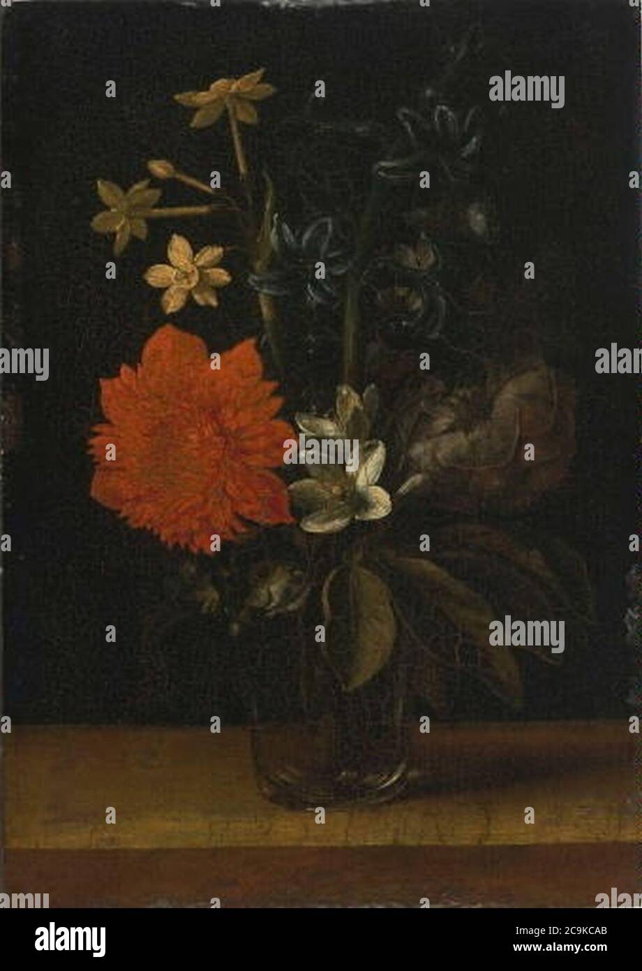 Jan Vojtech Angermayer 1674-1740 - Kytice s modrym hyacintem Stock ...