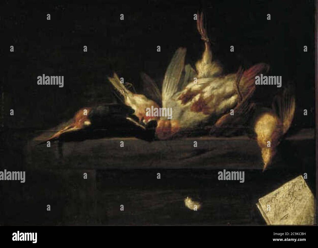 Jan Vonck - Dode vogels Stock Photo - Alamy