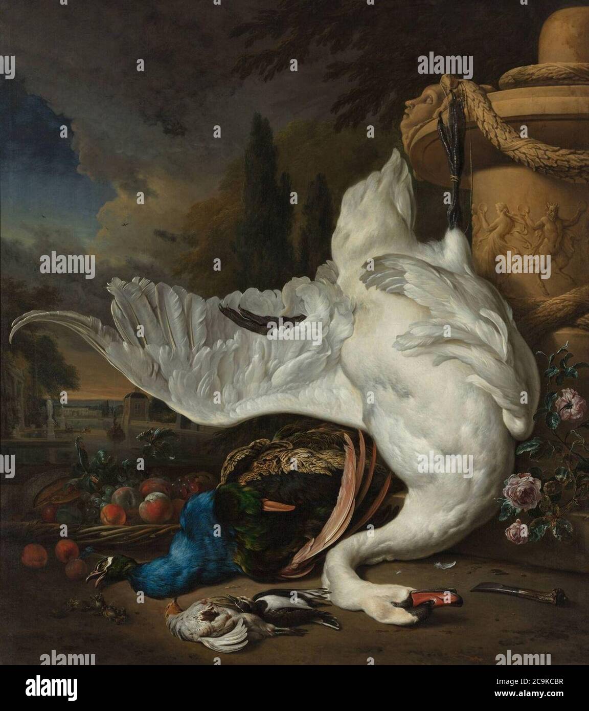 Dead swan hi-res stock photography and images - Alamy