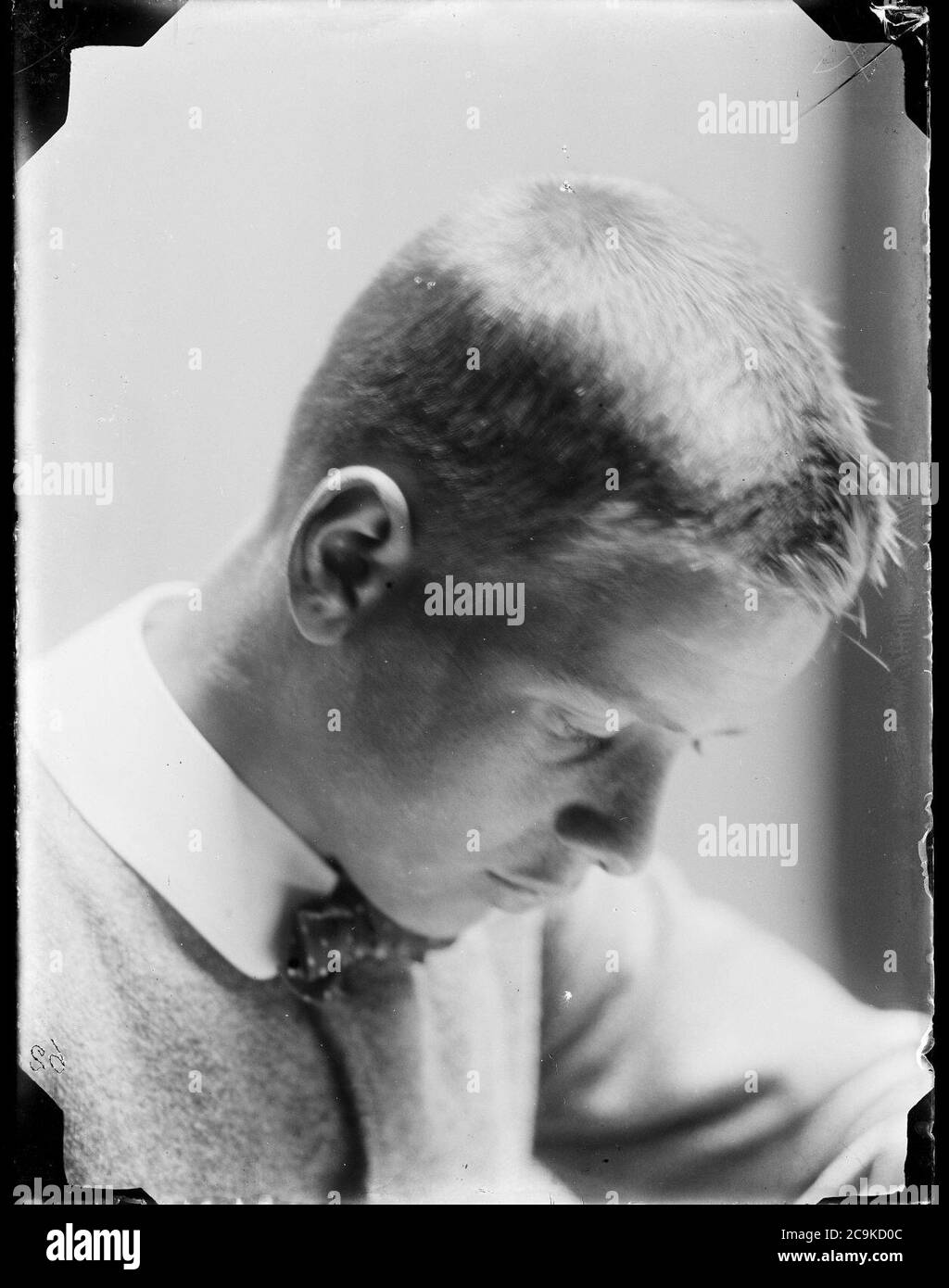 Zeegers hi-res stock photography and images - Alamy