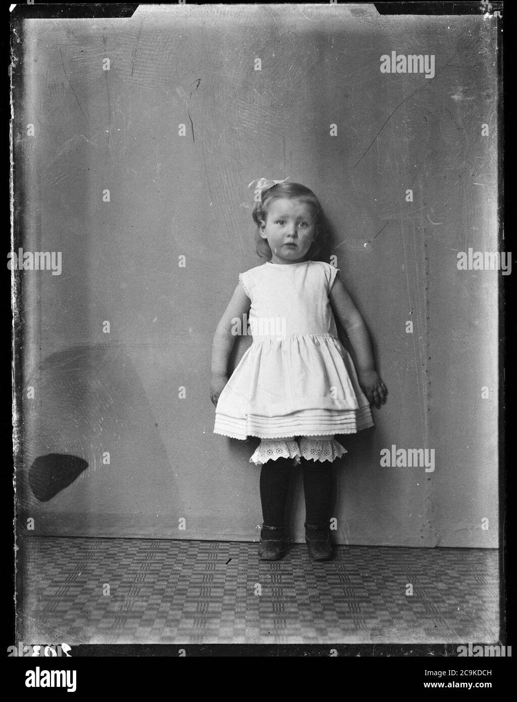 Zeegers hi-res stock photography and images - Alamy