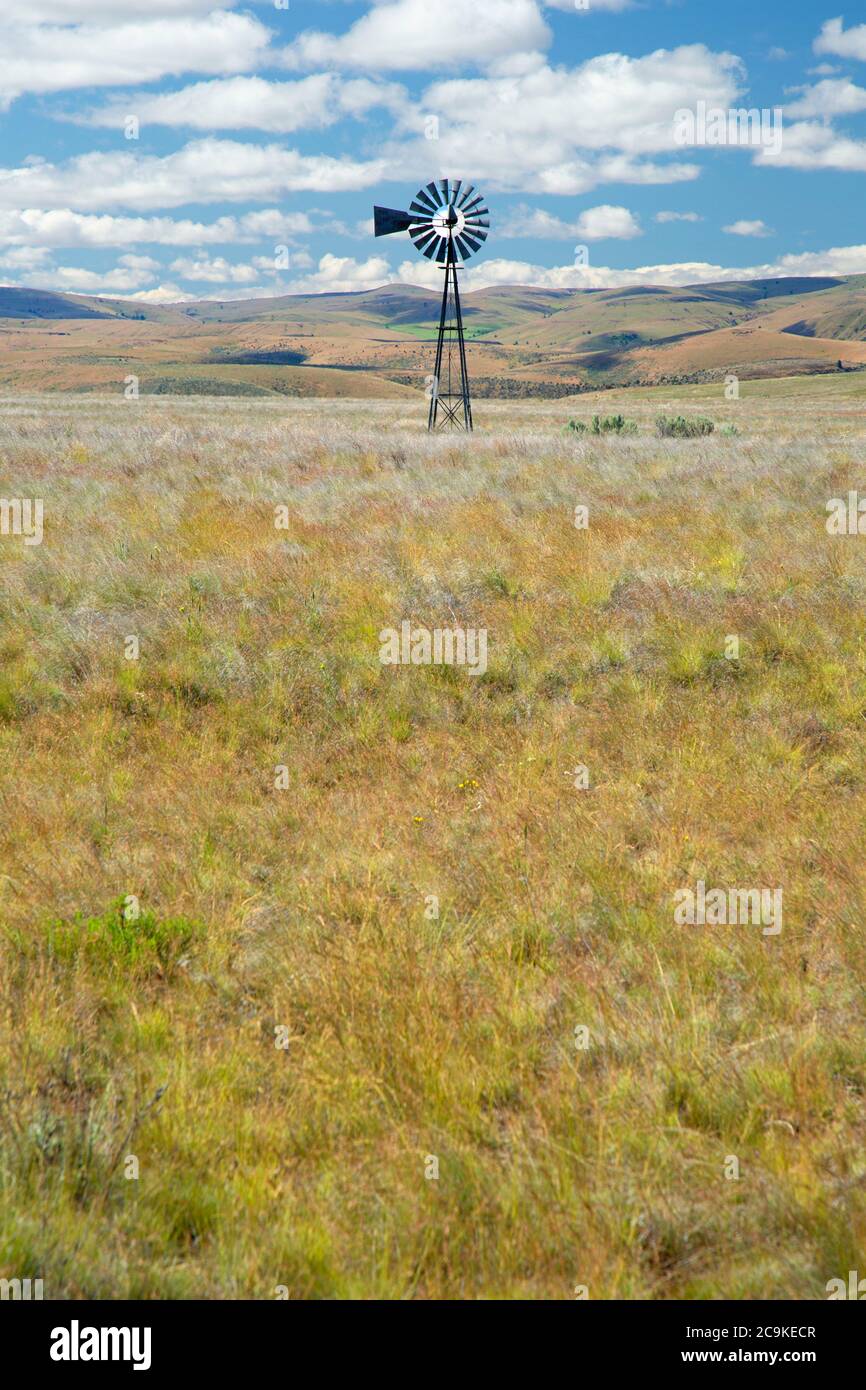 Windmill, Gilliam County, Oregon Stock Photo - Alamy