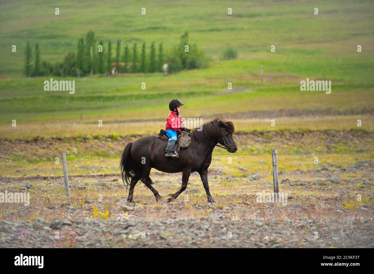 Boy stallion gallop hi-res stock photography and images - Alamy
