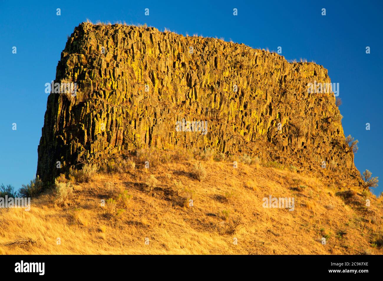 Oregon's Hat Rock: Where The Coast Gets Wild