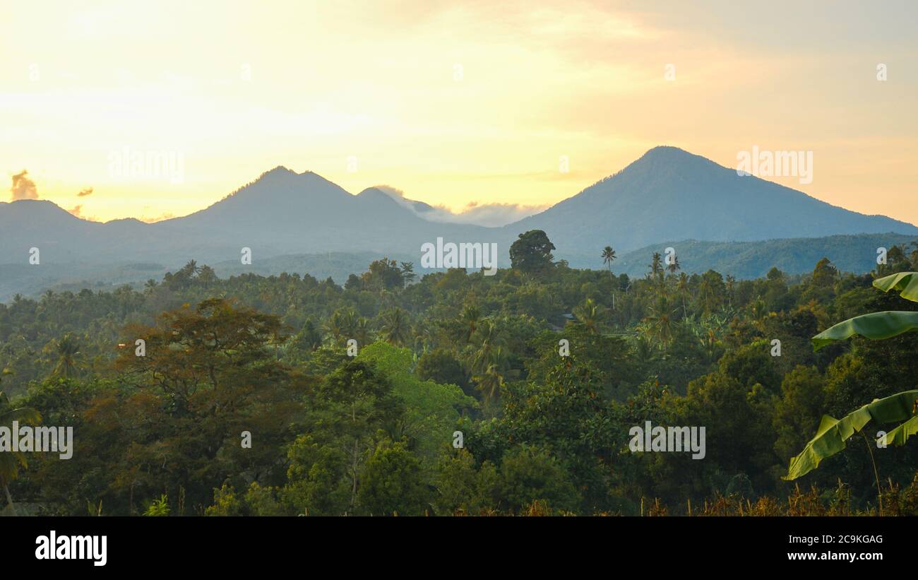 The sun and the dusk trees with beautiful scenery hi-res stock ...