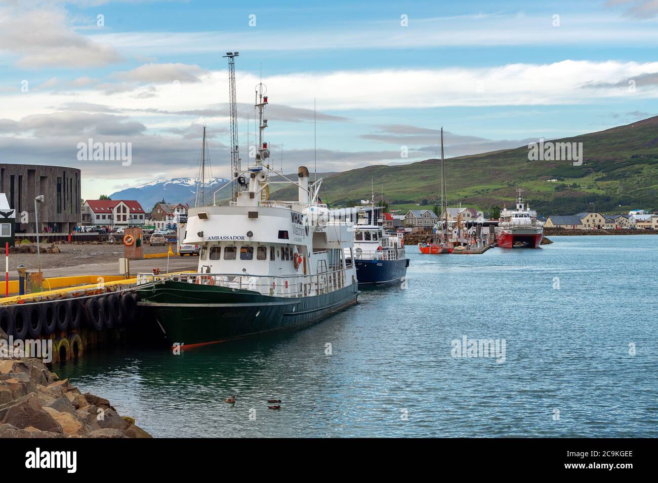 Whale watching center hi-res stock photography and images - Alamy