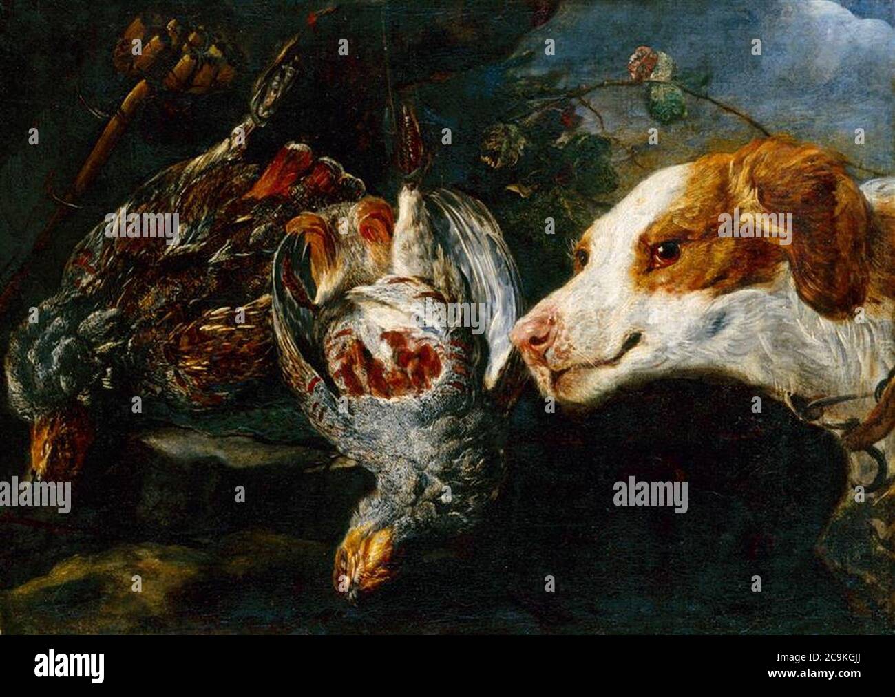Dead hound hi-res stock photography and images - Alamy