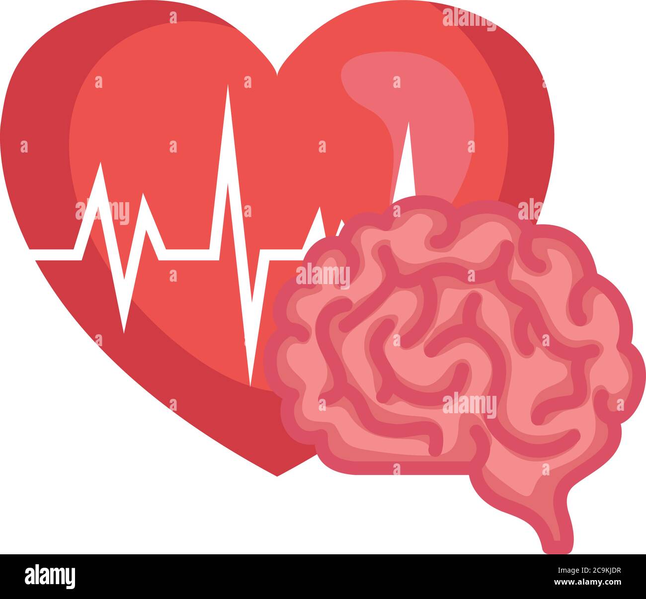 neurology, brain human with heart rate on white background Stock Vector ...